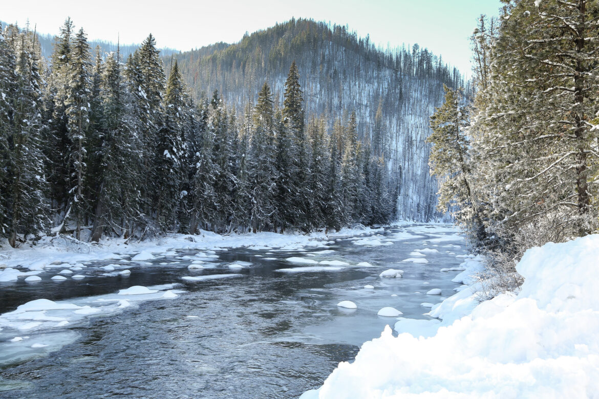 Winter Retreat: Classic Shakespeare: King Lear and As You Like It ...