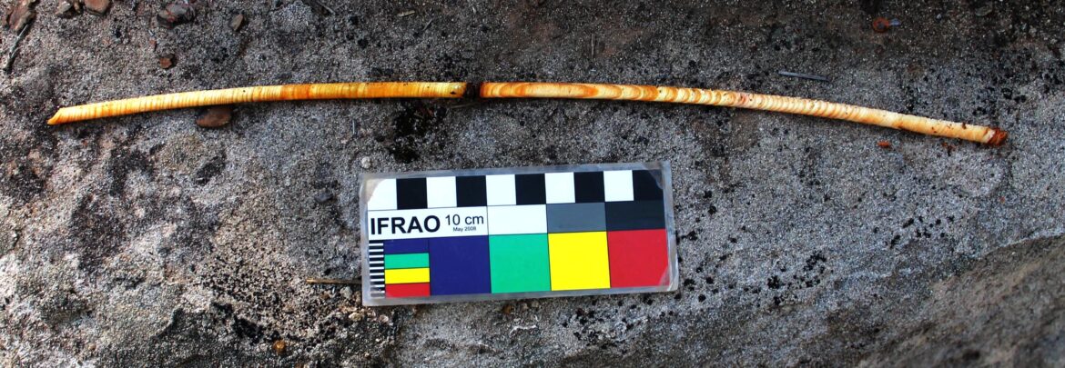 What Tree Rings Can Tell Us About Climate Change and the Future of the ...
