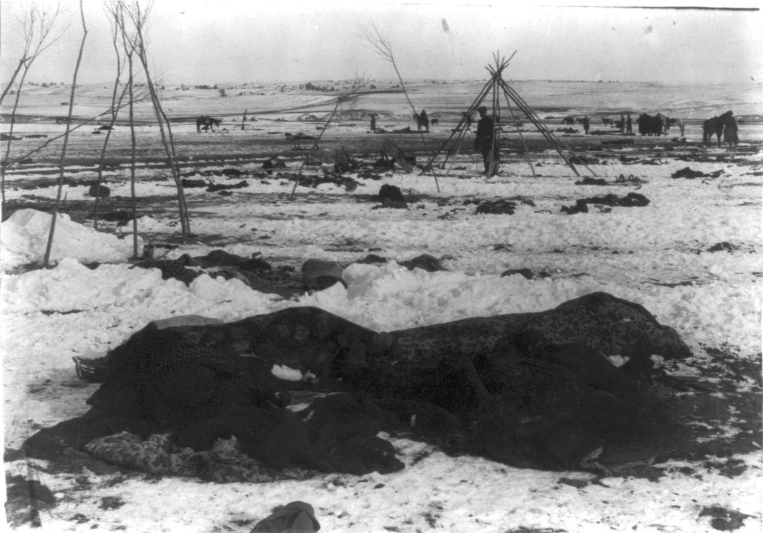 Reopening the Wounds of Wounded Knee - Listening To America